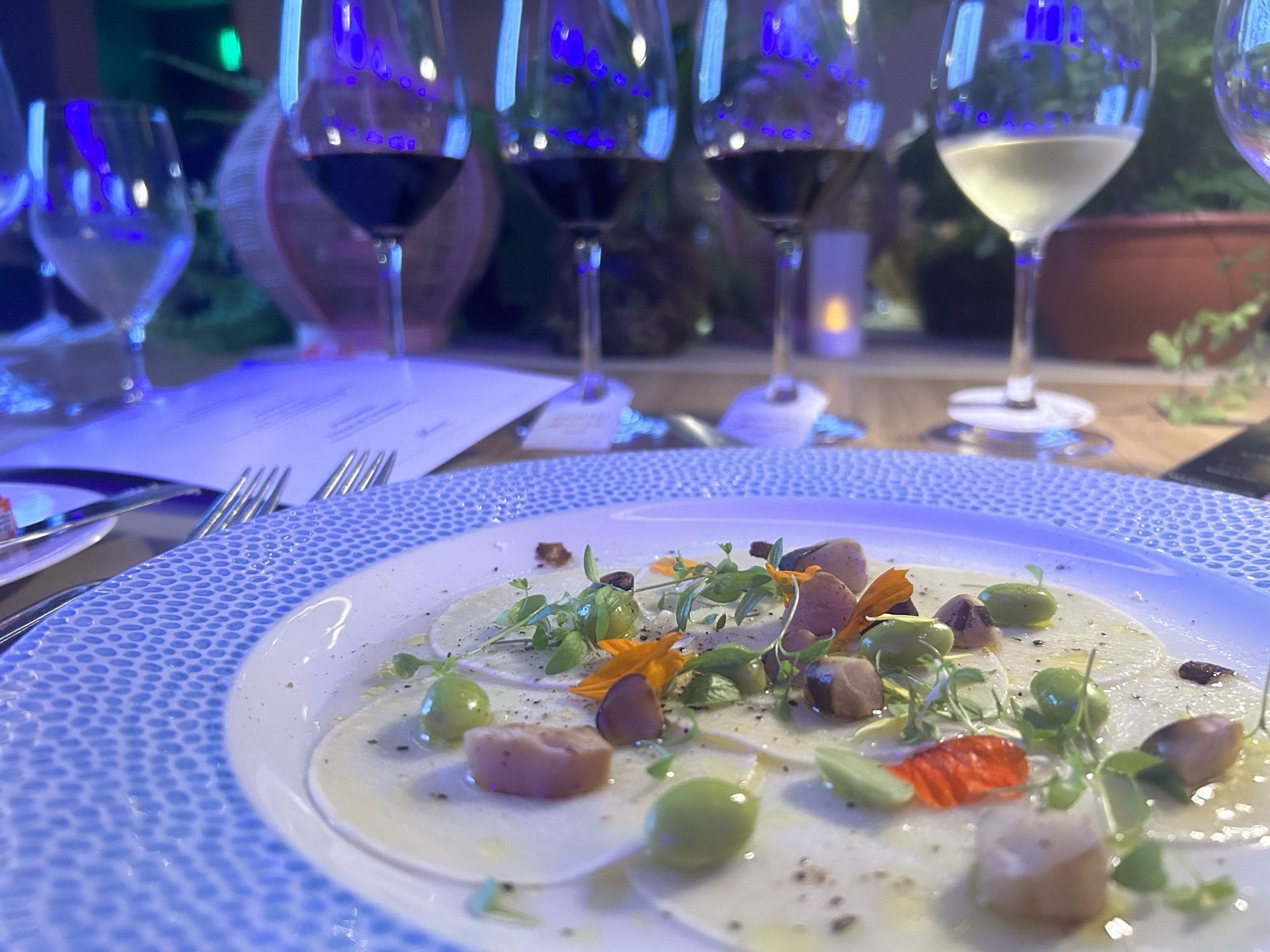 Vinícola Montes apresenta novo vinho Montes Muse 2020 – Viagem e Lifestyle