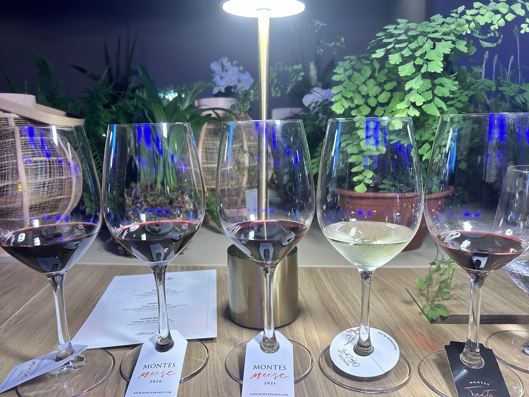 Vinícola Montes apresenta novo vinho Montes Muse 2020 – Viagem e Lifestyle